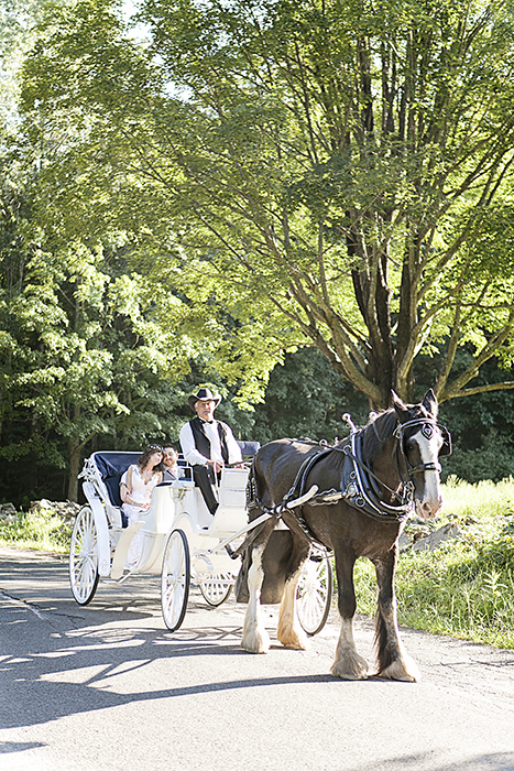 Married: Adam & Jenna: Horse Drawn Carriage Wedding at Wood Acres Farm ...