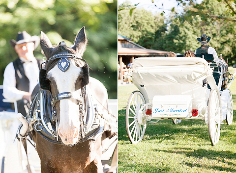 Married: Adam & Jenna: Horse Drawn Carriage Wedding at Wood Acres Farm ...